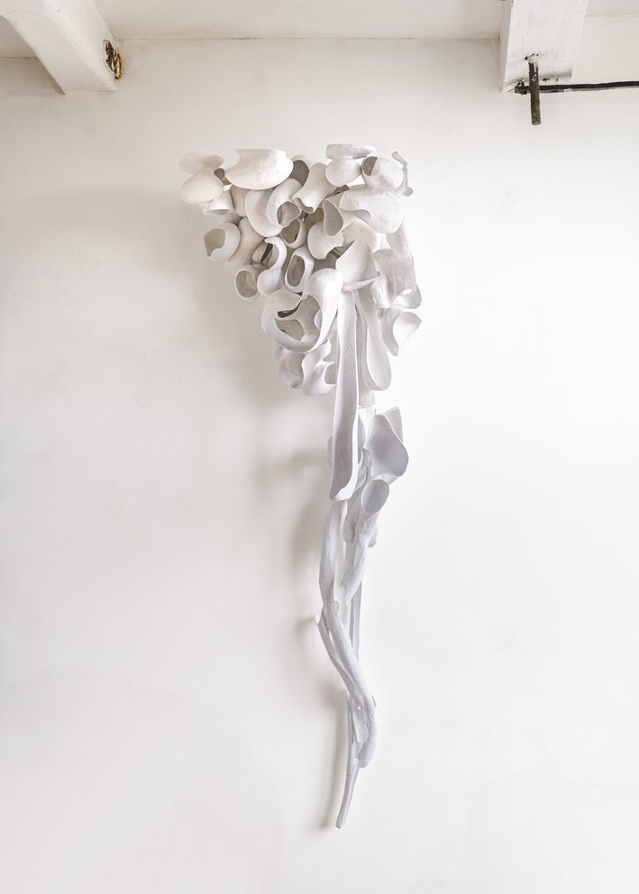 oostvleugel | Museum Belvédère