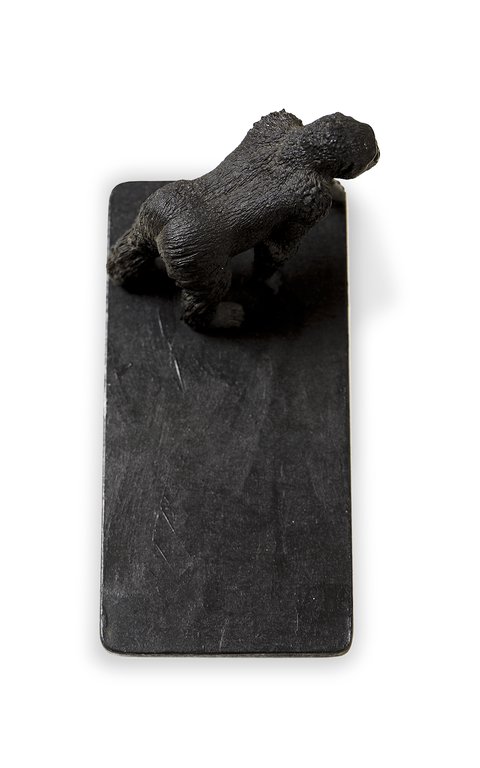 Artist's Call | Museum Belvédère